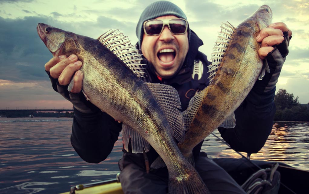 Weird Hobbies That Lead to Riches - Degree Advisers